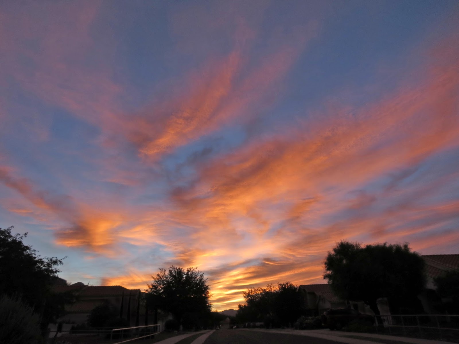 Desert Colors: October Skies