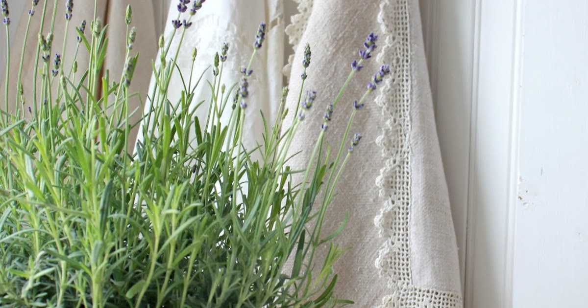 FARMHOUSE 5540: Farmhouse Inspiration ~ Lilacs and Lavender