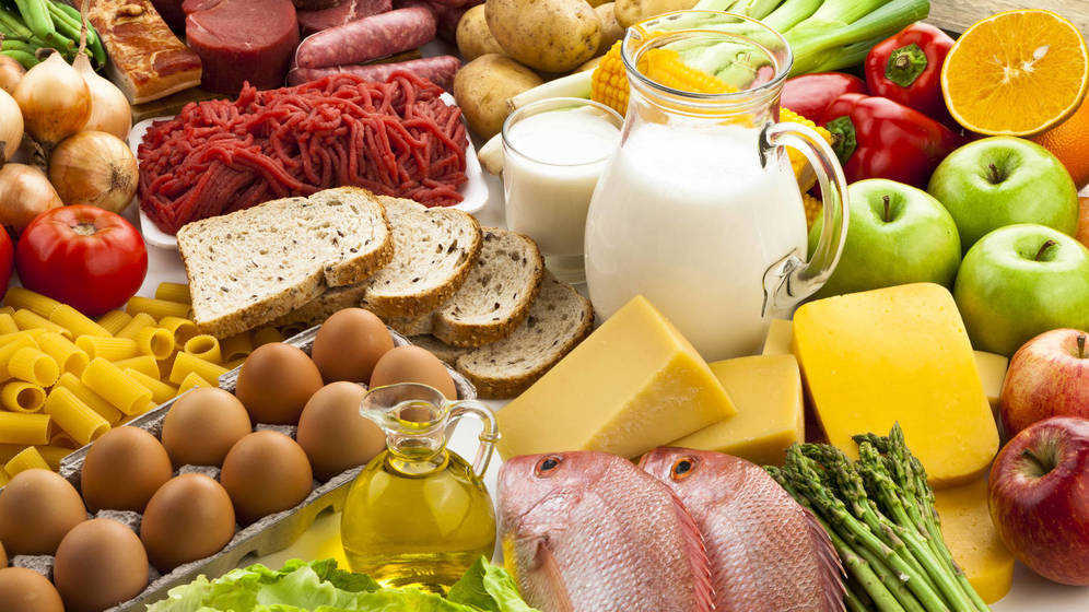 Vane Y La Nutrición Aplicada Manual De Dietas Terapéuticas Parte I