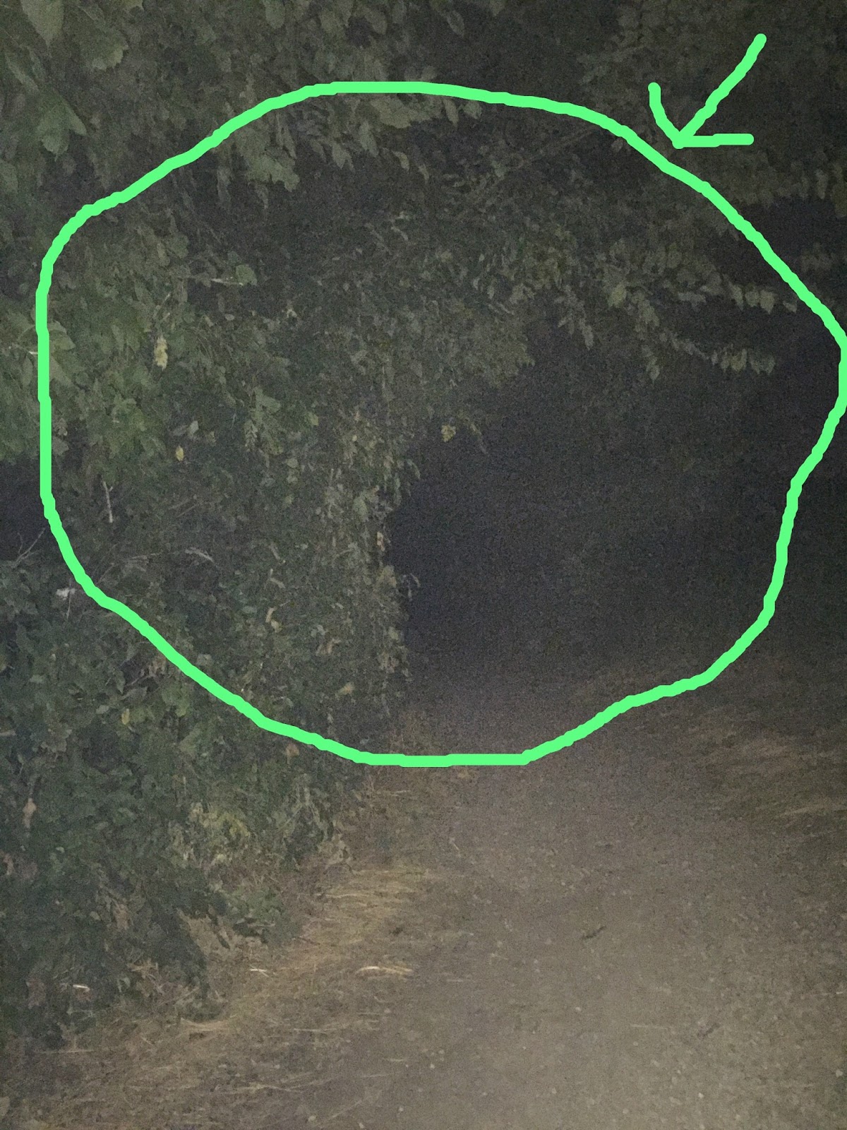 Becky Vickers(BECKS) - Everyday Ghost Hunter/Goatman's Bridge Ghost ...