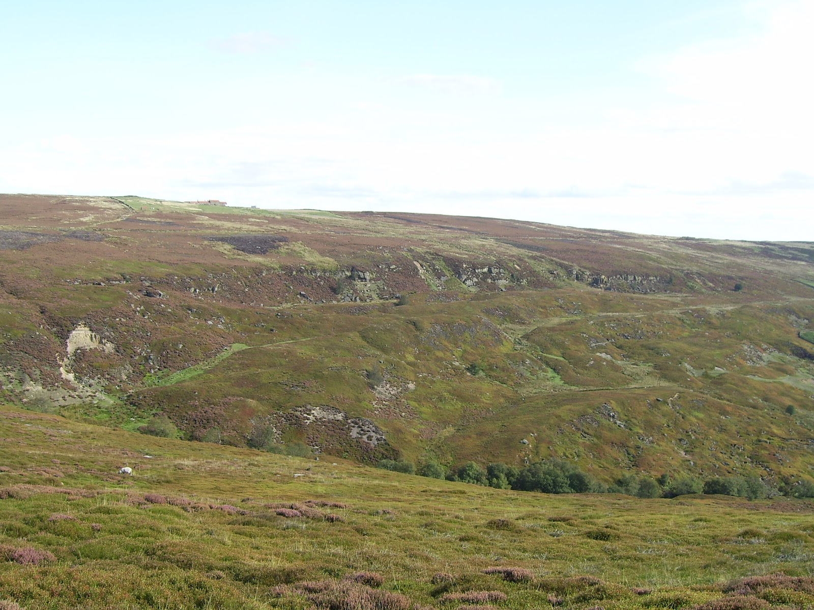 Retirement Blues Goodbye: Great Broughton to Blakey Ridge (The Lion Inn)