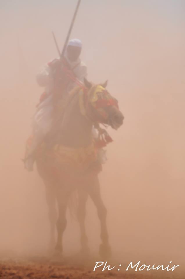 what'is Tbourida ? definition an great pictures from Morocco | Morocco ...