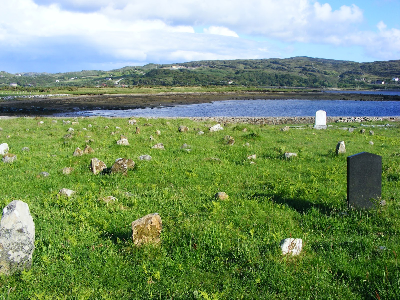 Deborah Watkins Paintings