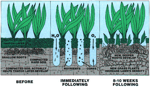 Fox Meadow Turf Department: Aerifying need not be terrifying