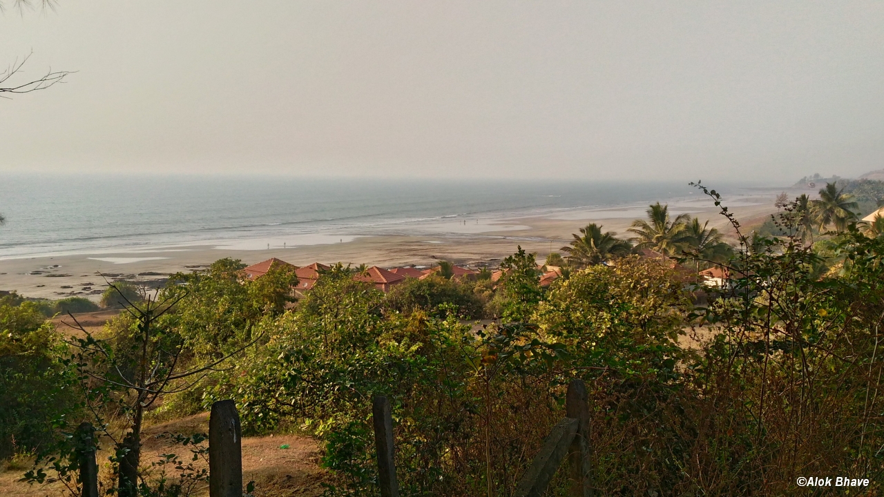 Nature watch: 2016-01-24-26-Kokan Trip