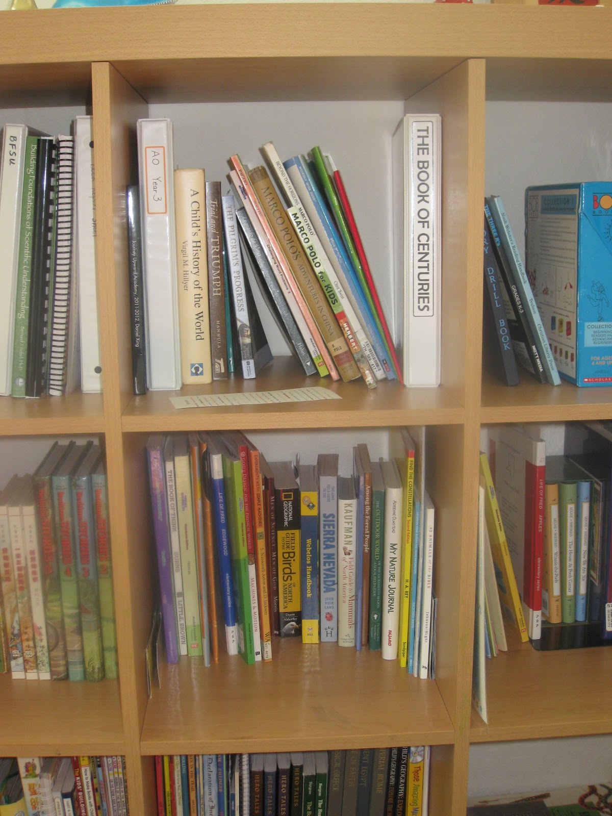 Journey Upward: Our School Room