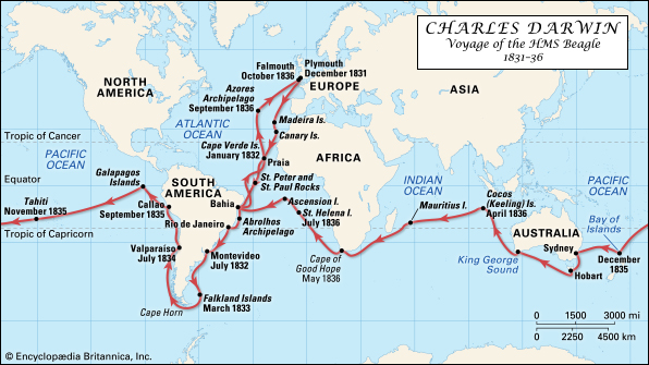 The Adventures of Team Wil-Sun: Reading Darwin: Voyage of the Beagle