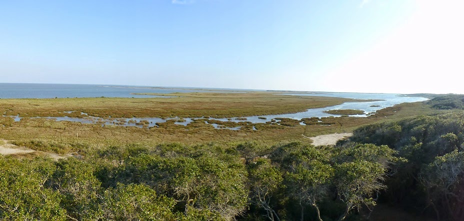 The Savage Traveler: Winter Trip 2015: Goose Island