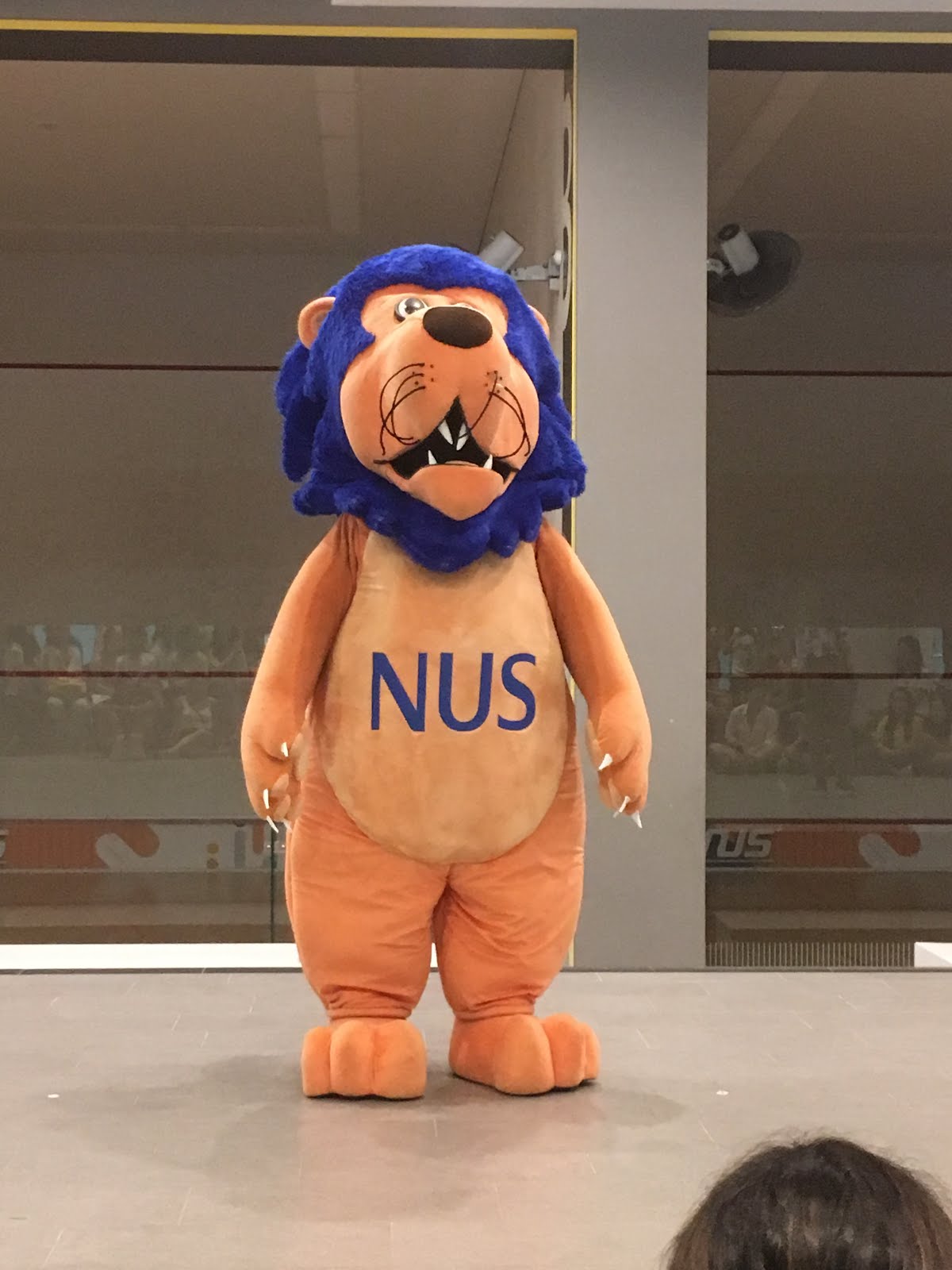 2019，我在NUS的日子——尚未開學篇