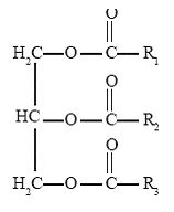 Dzikrie's Blog of Engineers: Laporan Praktikum Isolasi Minyak Kemiri