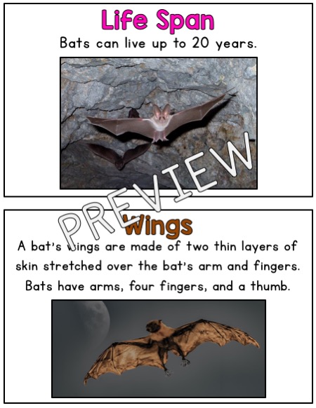 Emily Jane Creates: STELLALUNA UNIT