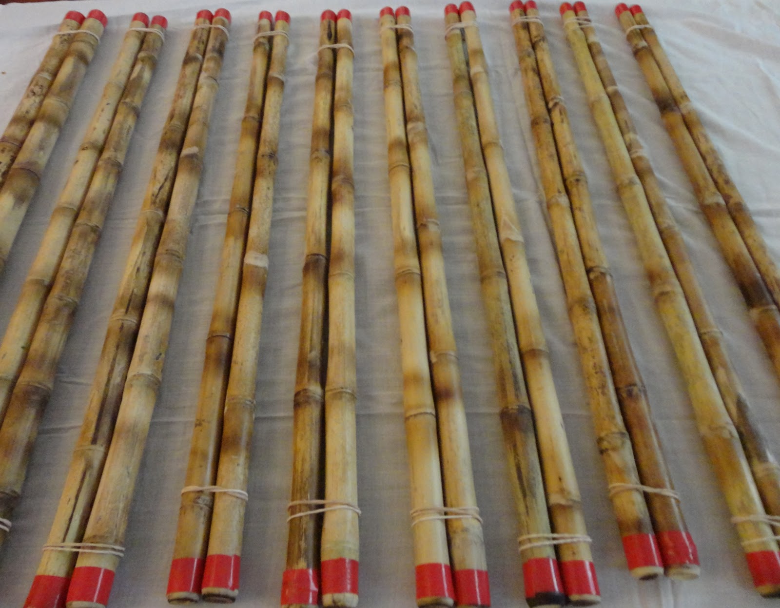 Federacion Sudamericana de Kapap