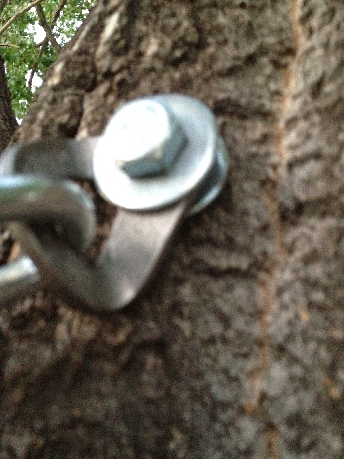 The Treehouser: Part 3: The Ups and Downs Of Treehouse Building