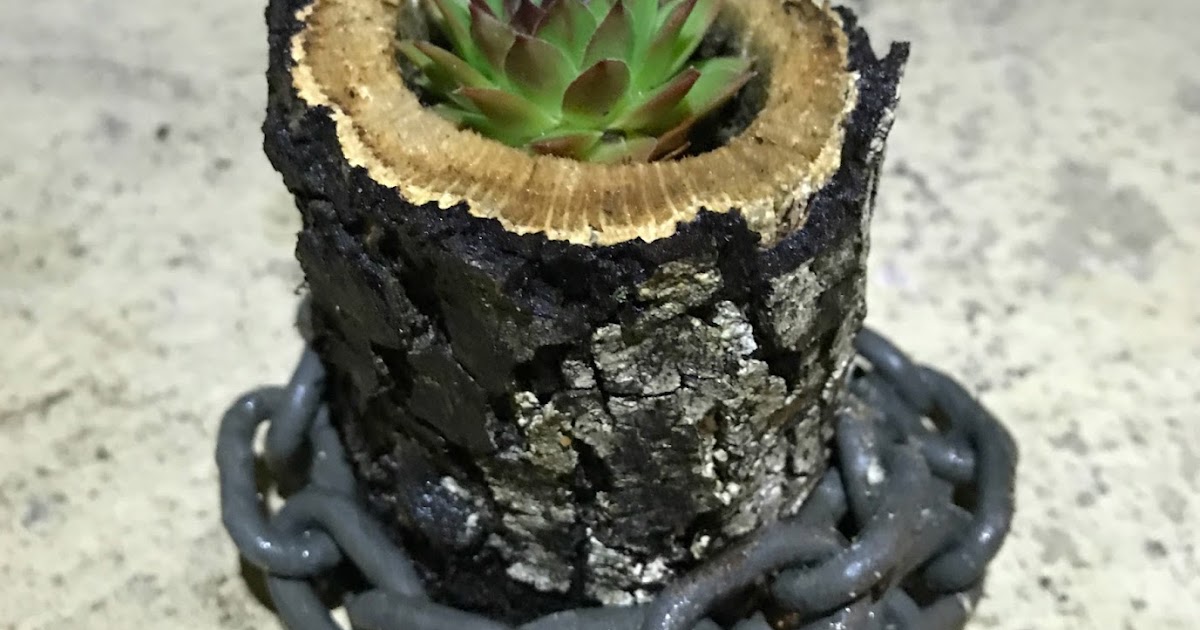 Swami Manuel: COMO DESTROZAR TU VIDA Y CREER QUE ERES MARAVILLOSO