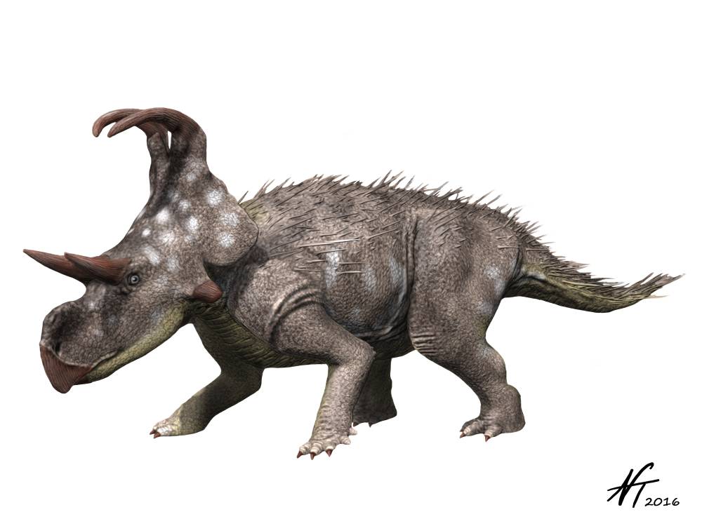 Machairoceratops - Alchetron, The Free Social Encyclopedia