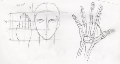 How to DrawHand: Come disegnare le mani - Miss Chroma Illustration