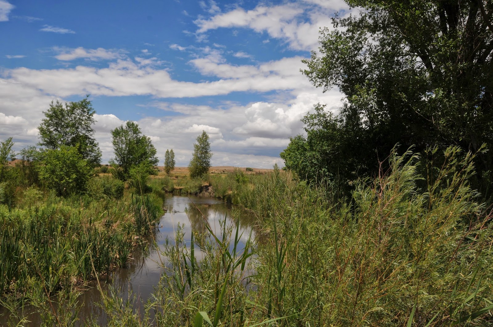 Arizona Hiking: BECKER LAKE WILDLIFE AREA: RIVER WALK TRAIL