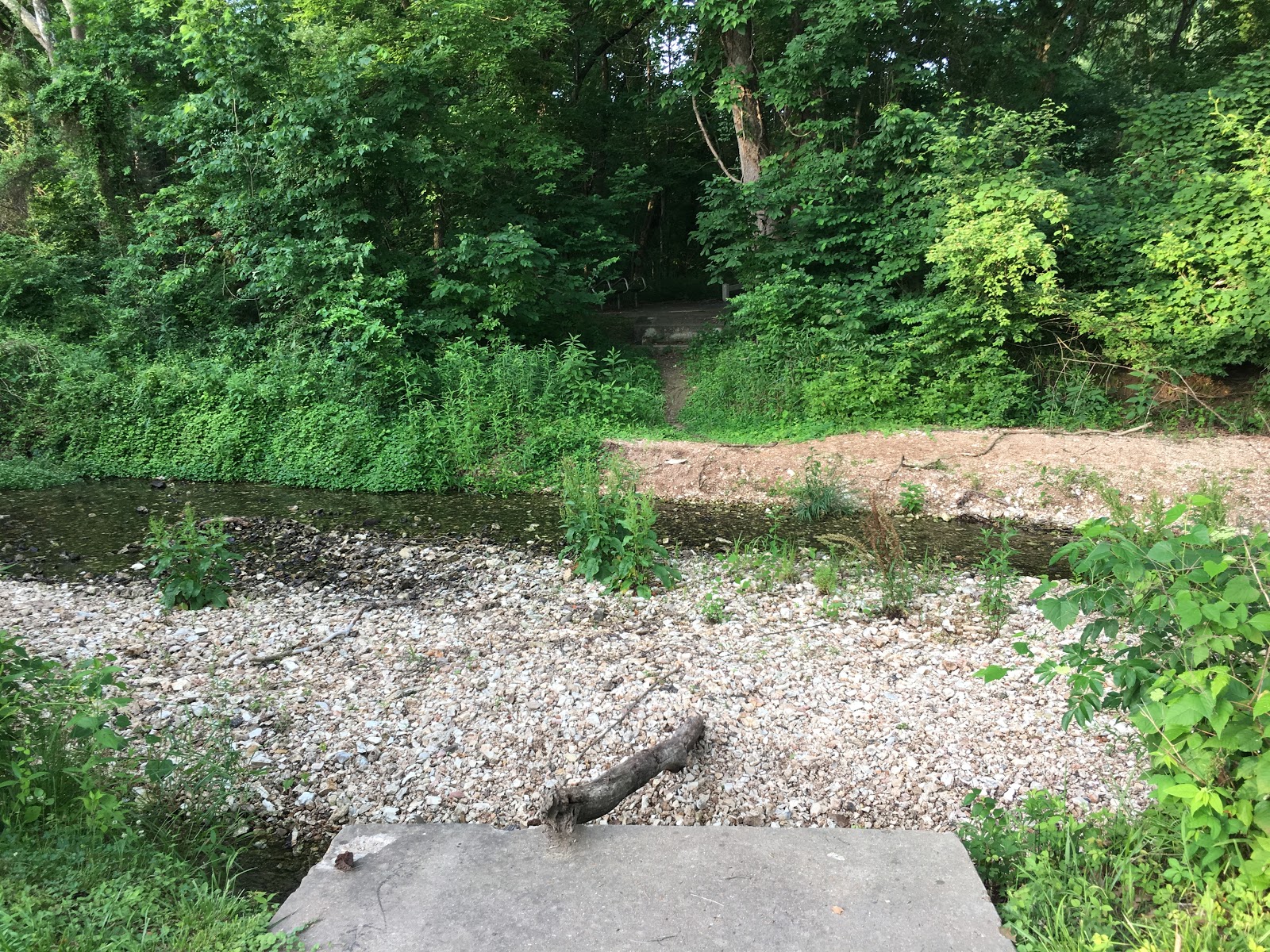 Forest 44 Conservation Area