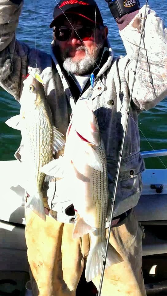Humdinger Lures: Testimonials & Tips