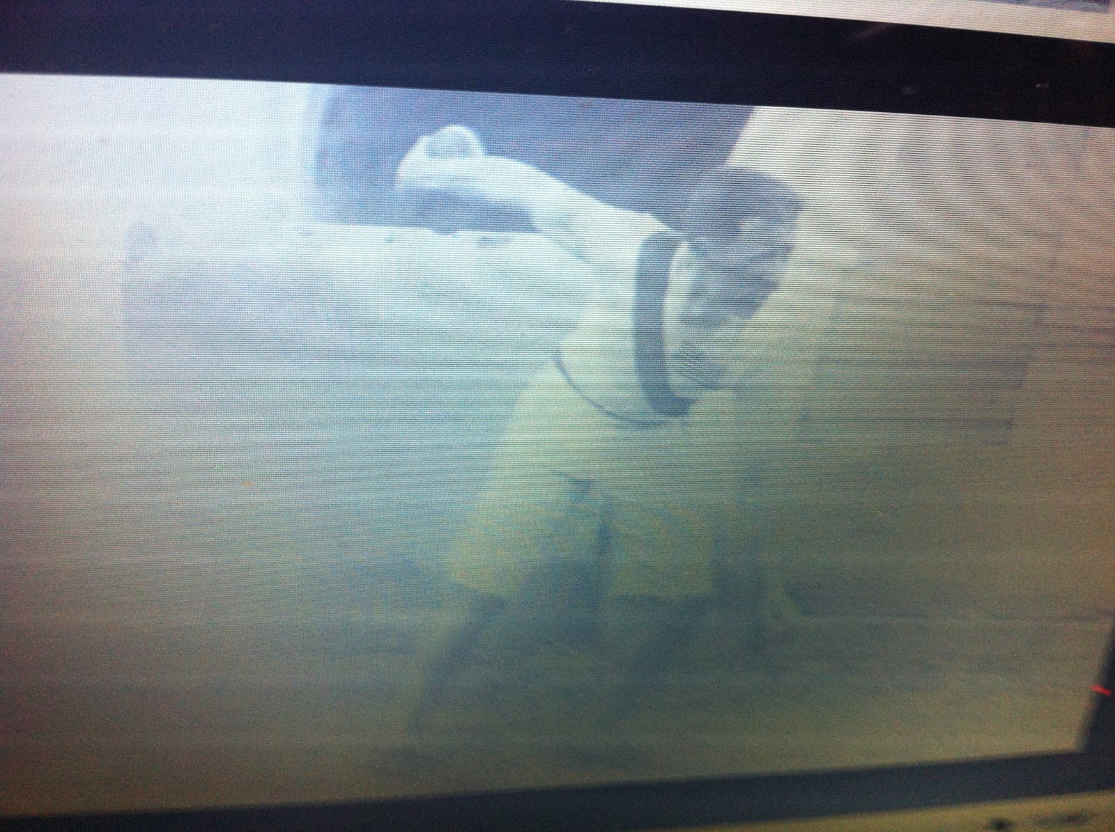 THE BLACK SOCIAL HISTORY:: BLACK SOCIAL HISTORY : AFRICAN AMERICAN ...