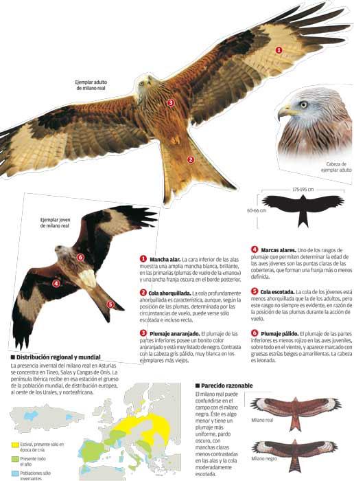 Turismo Abaurrea: El Milano Real