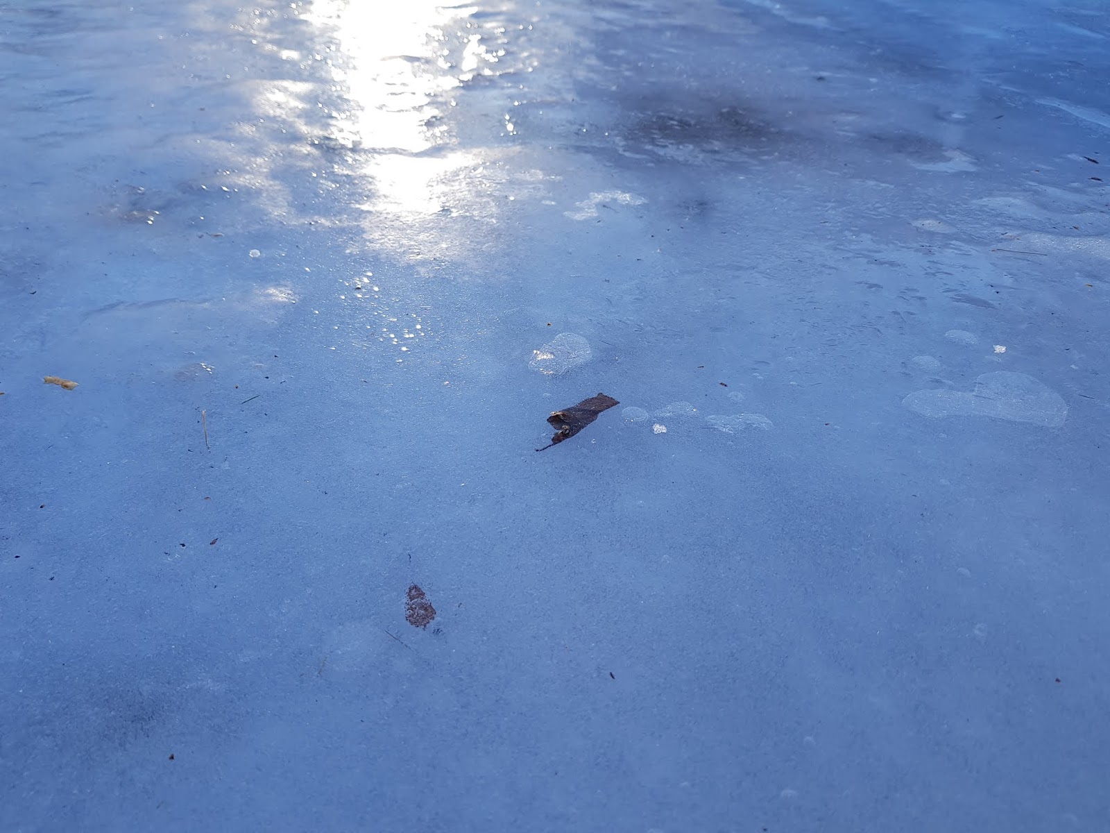 cias1975: 17 feb. 2019