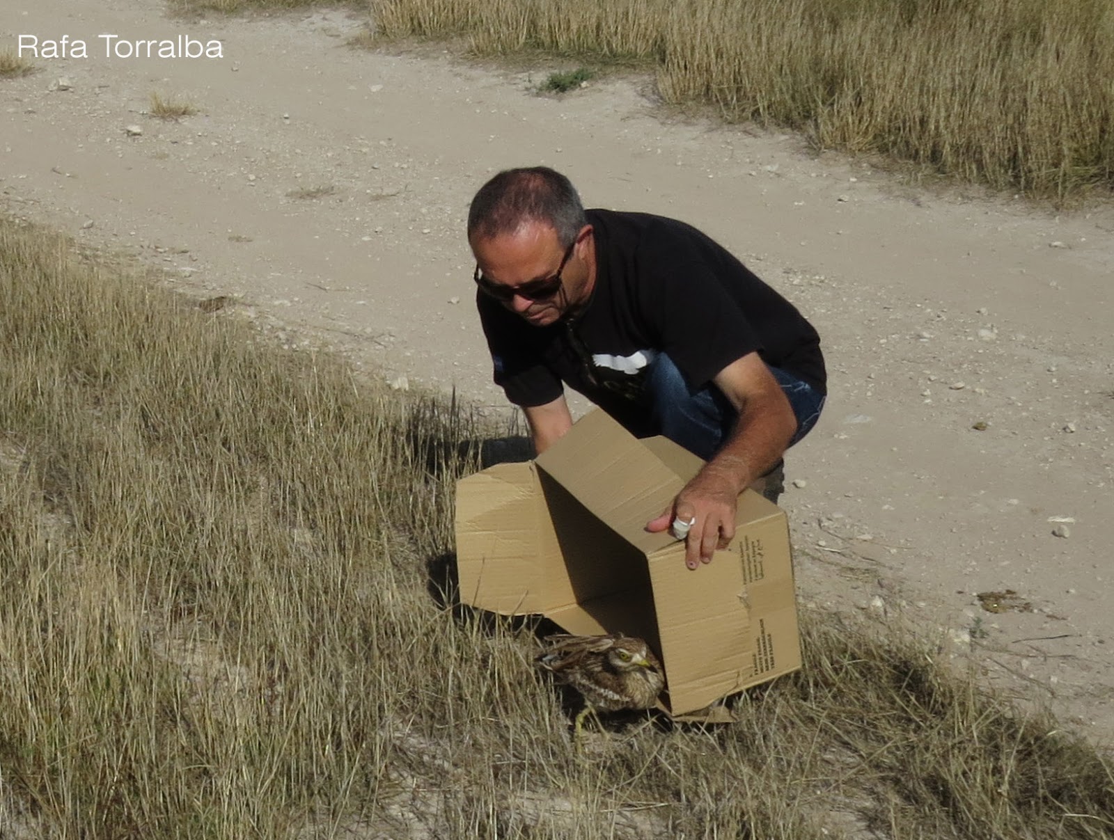 El Nido de Rafa: Liberación de aves recuperadas en el Centro de ...
