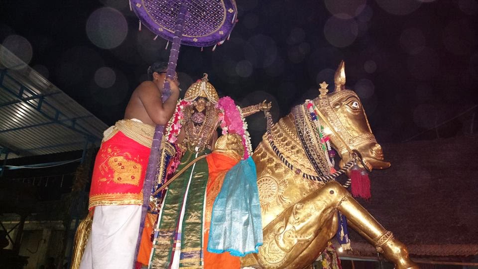 Thirumangai Azhwar Kuthirai vahanam /vennai Thazi Kannan thirukolam ...