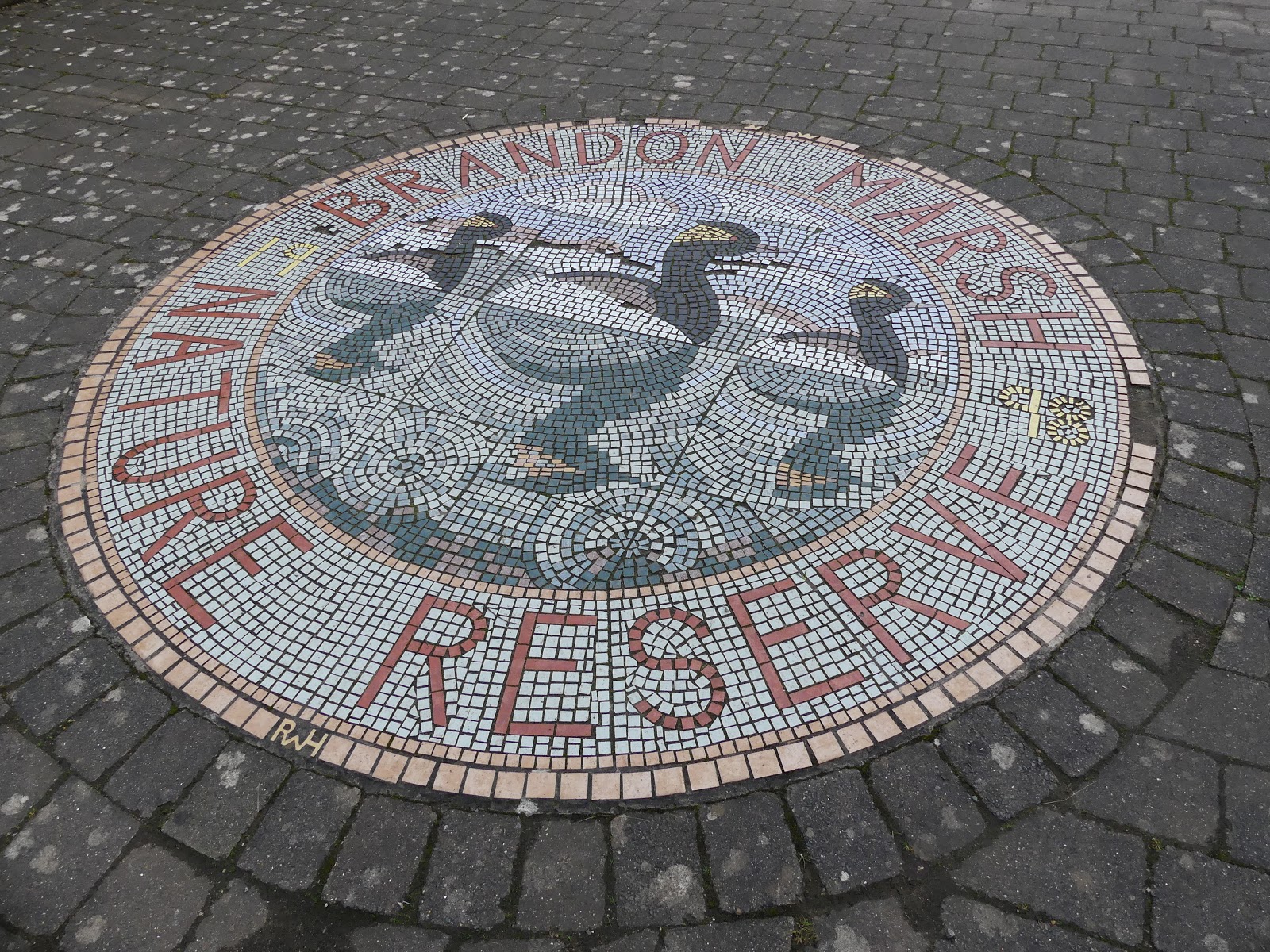 Ragged Robin's Nature Notes: Brandon Marsh Nature Reserve