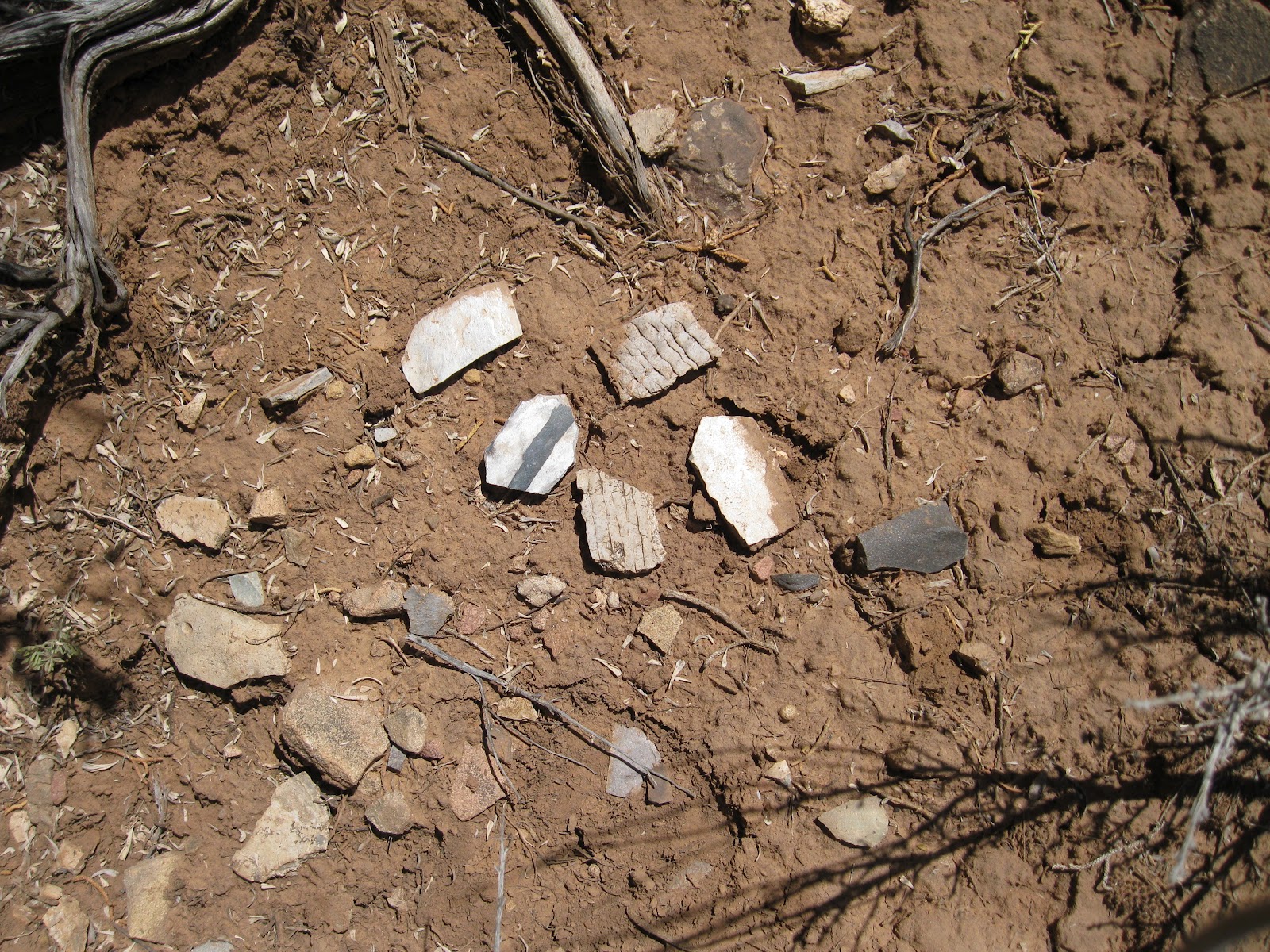 Four Corners Hikes-Canyons of the Ancients: Cahone Canyon Mesa Top