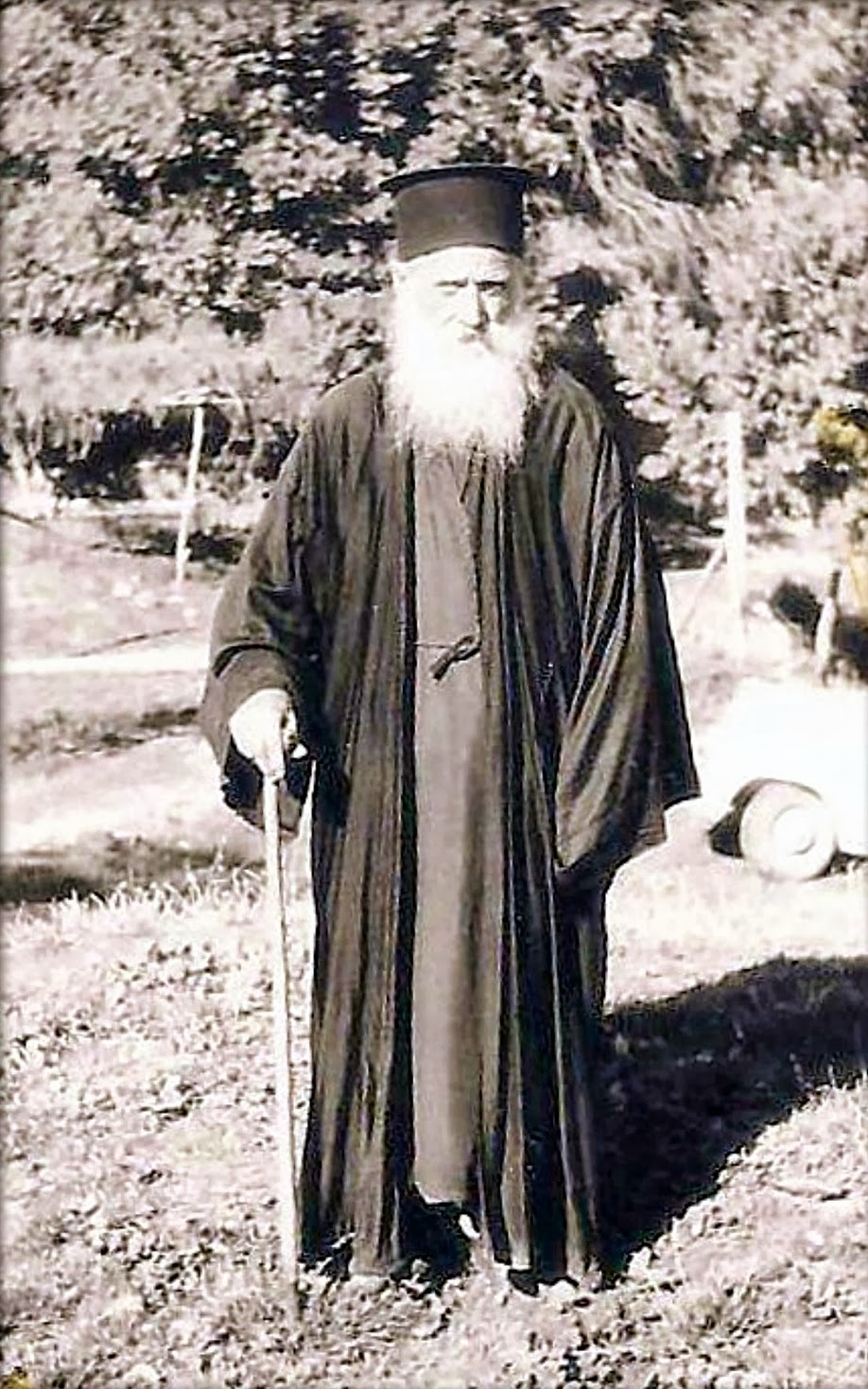 ΠΑΛΑΙΟΧΩΡΙΟΝ ΤΥΜΦΡΗΣΤΟΥ (ΟΜΙΛΑΙΩΝ) ΦΘΙΩΤΙΔΟΣ: Γενεαλογικά δένδρα