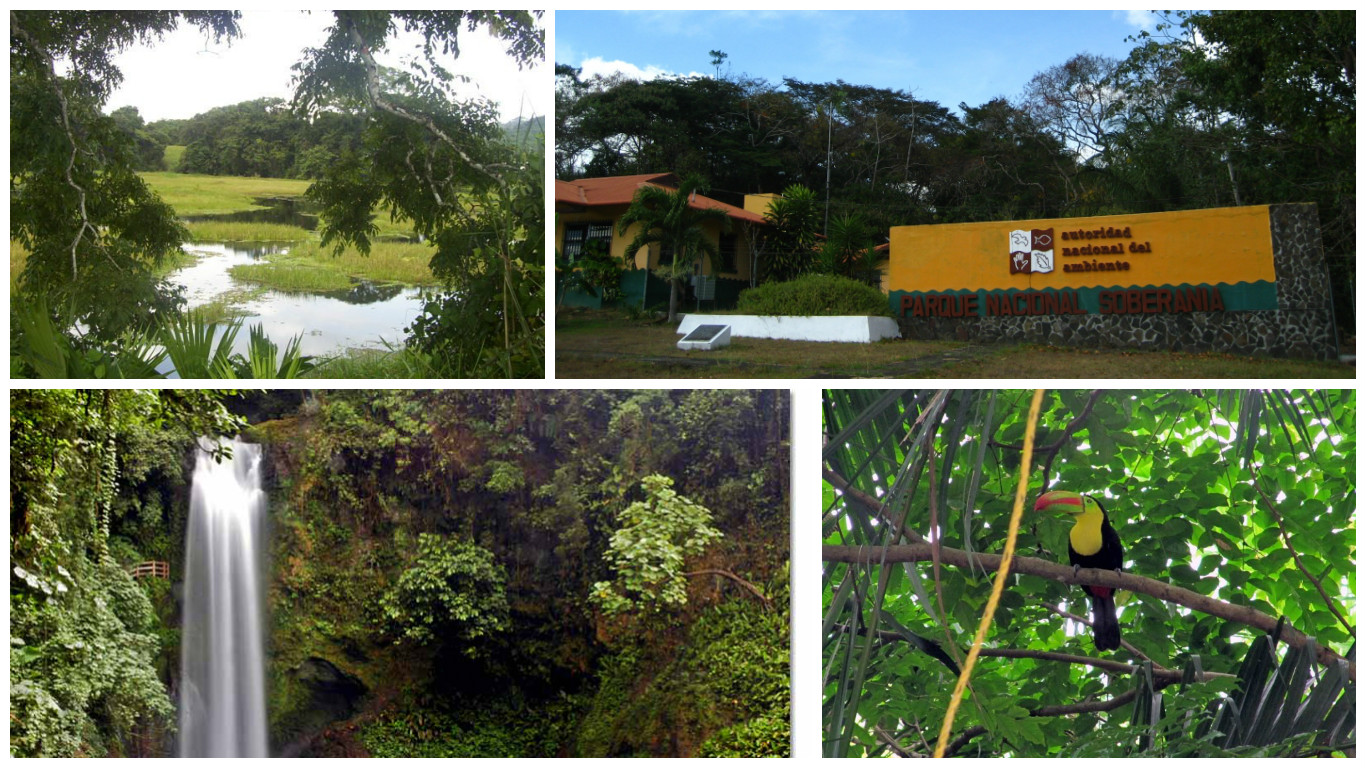 Parques Nacionales: Parque Nacional Soberanía-Fuente del agua del Canal ...