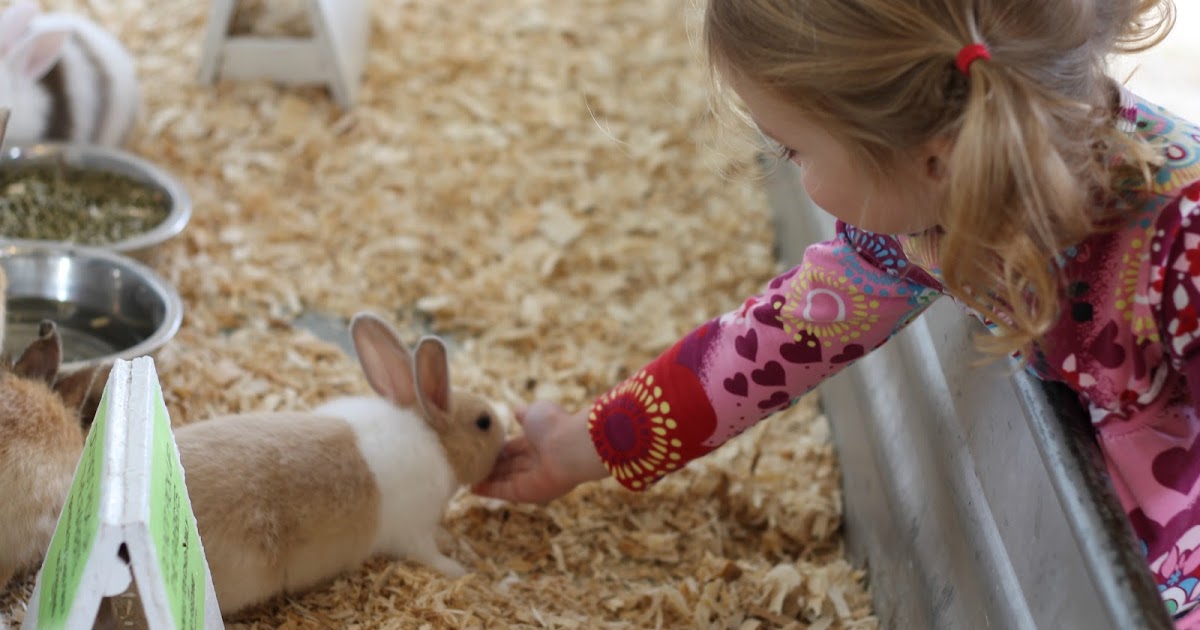 Celebrating Moments in Childhood: Gymboree Sponsored Giveaway ~ Reading ...