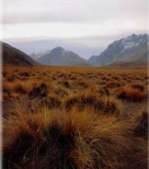 PAISAJELANDIA: PAISAJE DE ZONAS CÁLIDAS