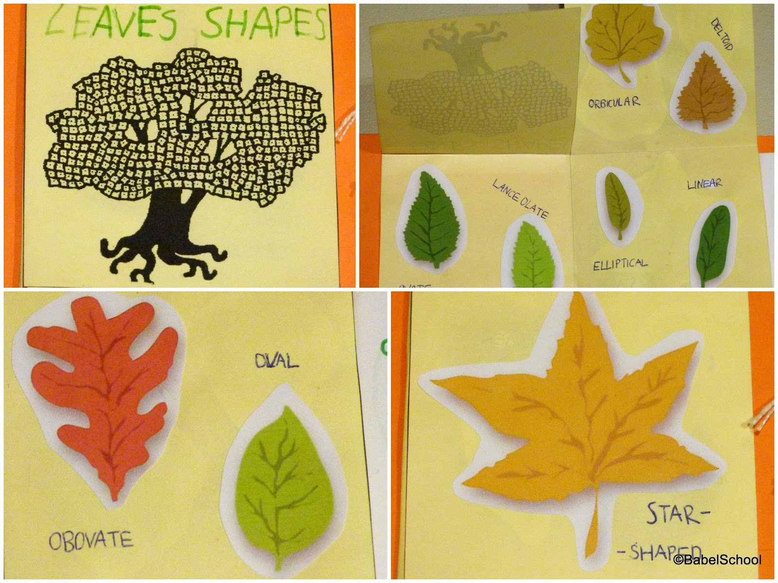 Lapbook: Trees - Drzewa