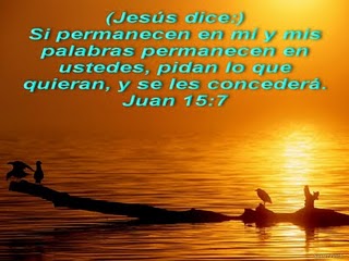 LA VERDAD INFORMATIVA: Para reflexionar: Juan 15:7 “Si permanecéis en ...
