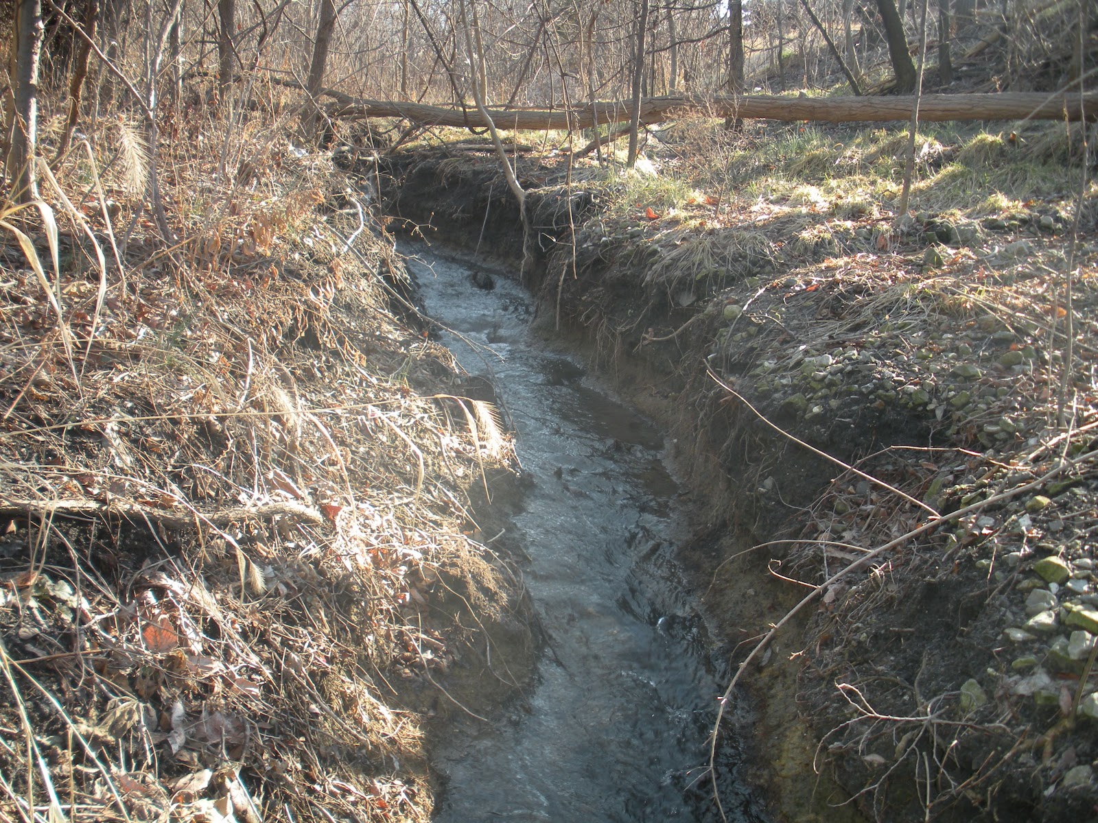 GoColumbiaMO Stormwater Utility: 319 Grant - Step Pools Under Construction