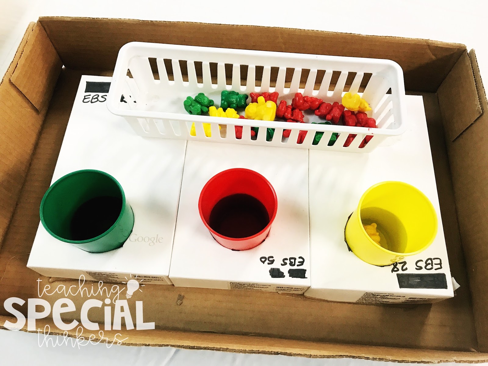 Color Matching and Color Sorting Work Tasks - Teaching Special Thinkers