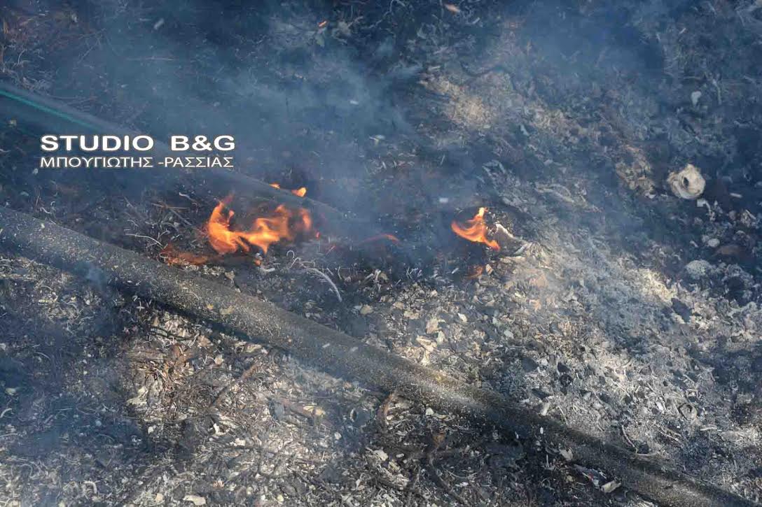 And again fire in Argos [photos] - Athens Times