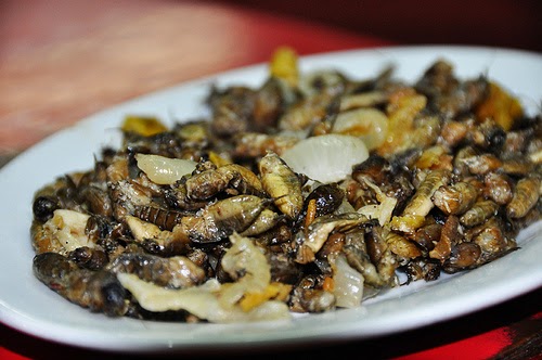 Exotic Foods in the Philippines