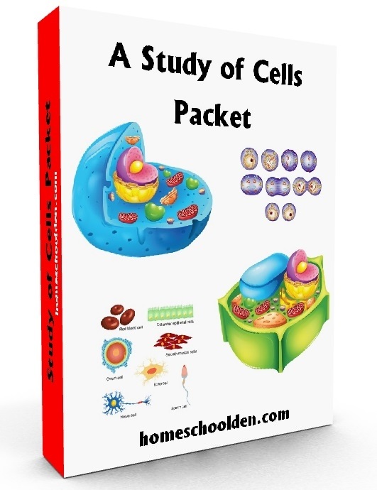 The Homeschool Den: Human Body Unit: Heart and Circulatory System ...