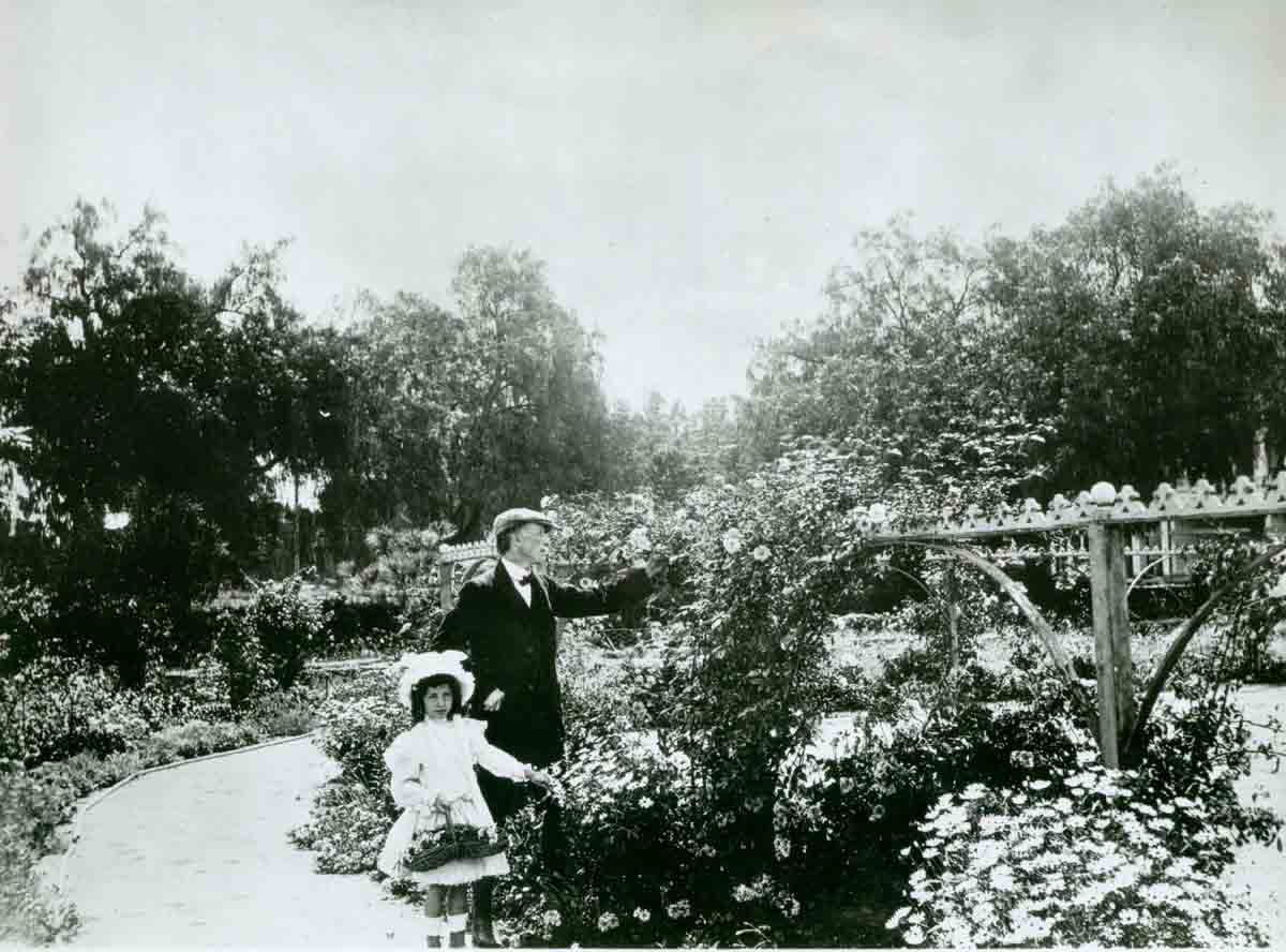 Dona havia de ser: Daeida Wilcox, la madre de Hollywood