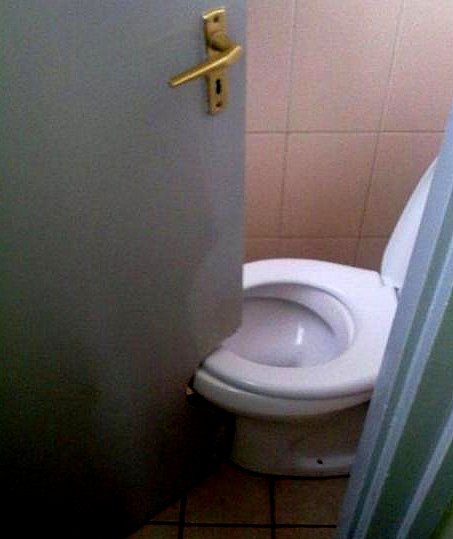 The Flying Tortoise: Toilet Humour...