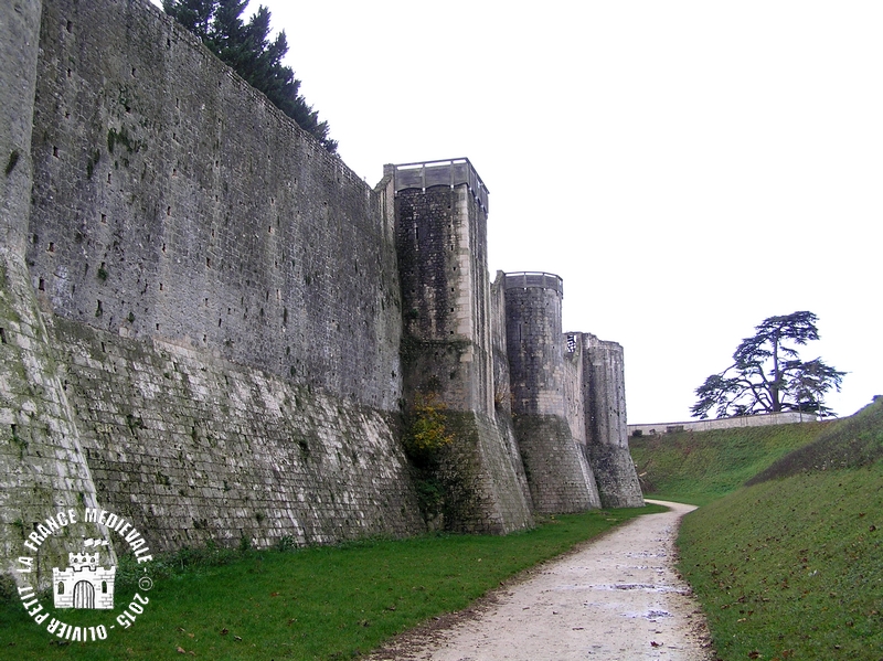 LA FRANCE MEDIEVALE: PROVINS (77) - Remparts médiévaux