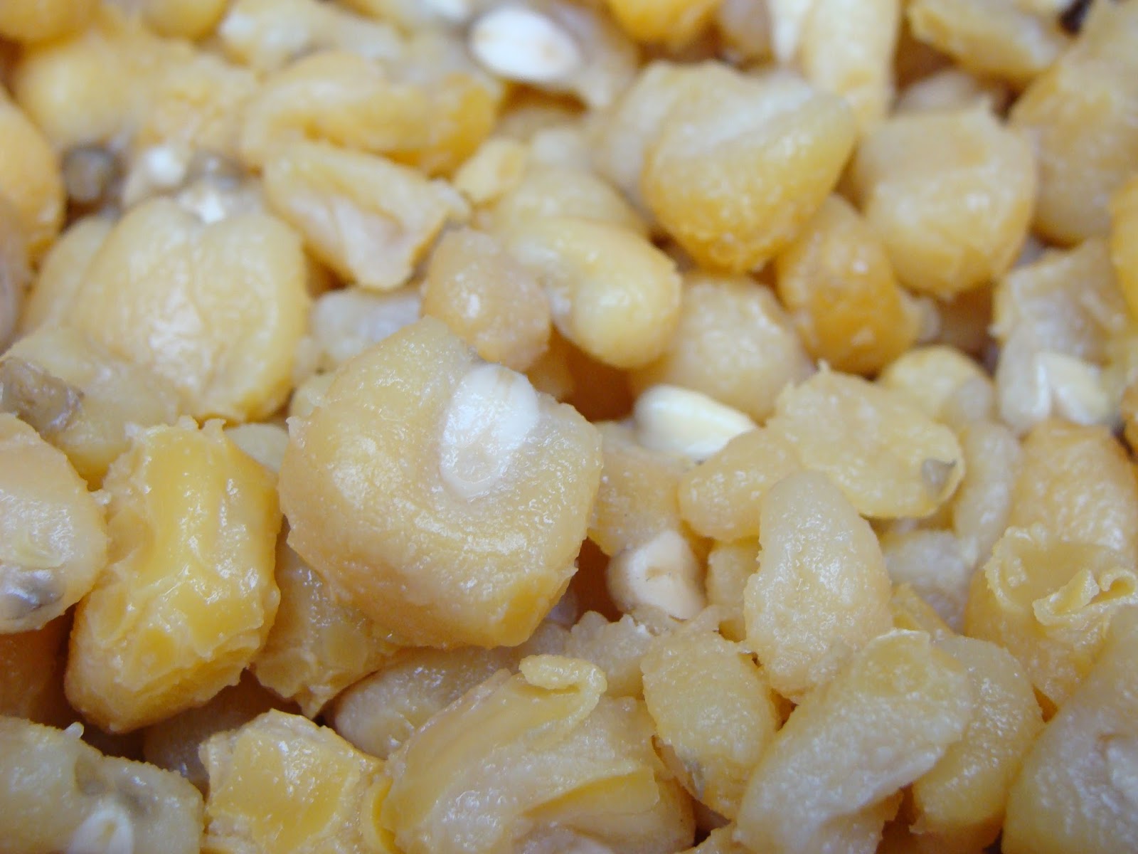 Al Reencuentro de los Oficios Tradicionales: Motemei