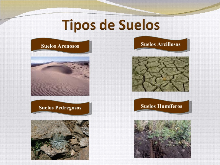 El suelo: EL SUELO El suelo: EL SUELO