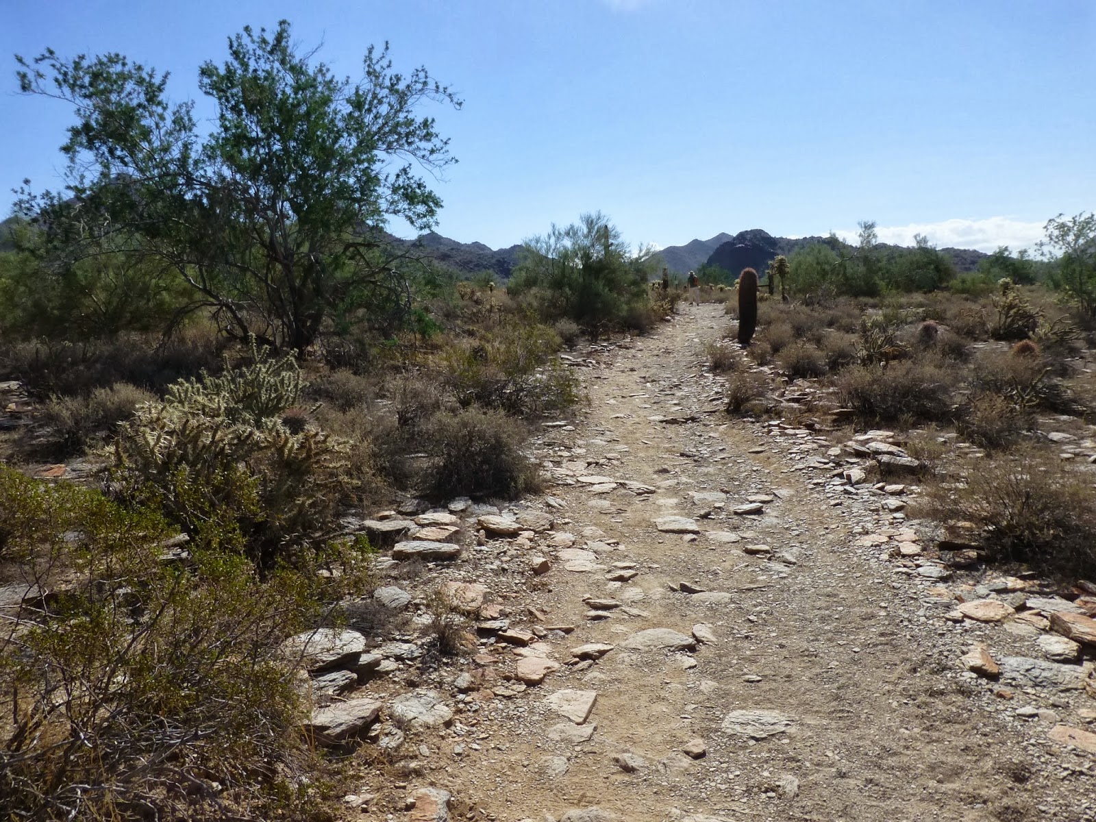 Hundewanderer.com: Hiking: McDowell Sonoran Preserve, Gateway Loop Trail