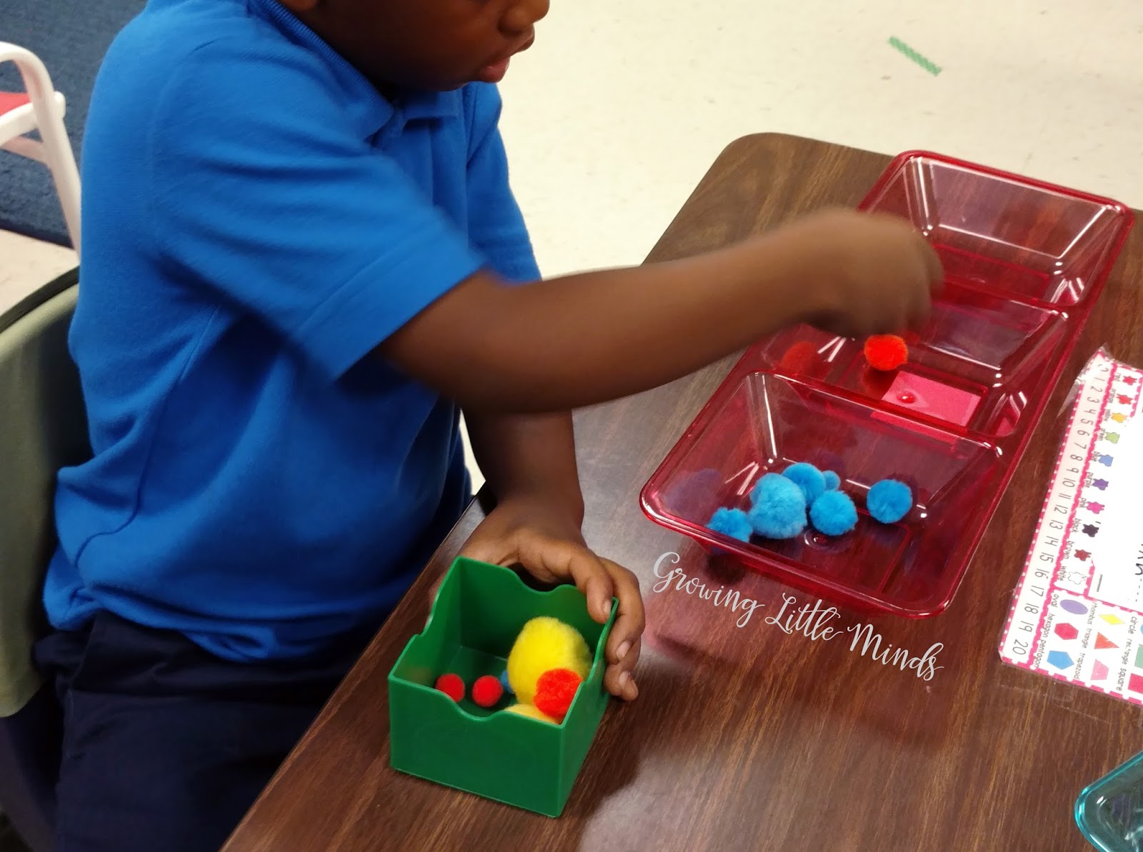 Growing Little Minds: Categorizing and Sorting in Kindergarten