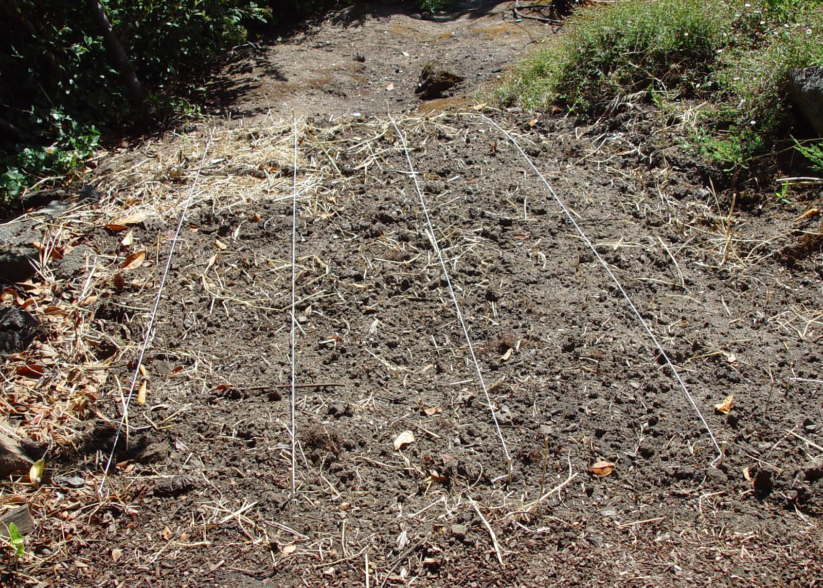 Eden By The Bay: Soil Compaction - Step Four