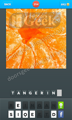 Zoomed In - Photo Word Game Level 254 ~ Doors Geek